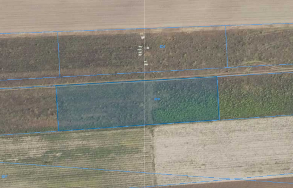 Działka | WYGODA SMOSZEWSKA dz. 132/6 | 0,3500 ha - NGI Nieruchomości